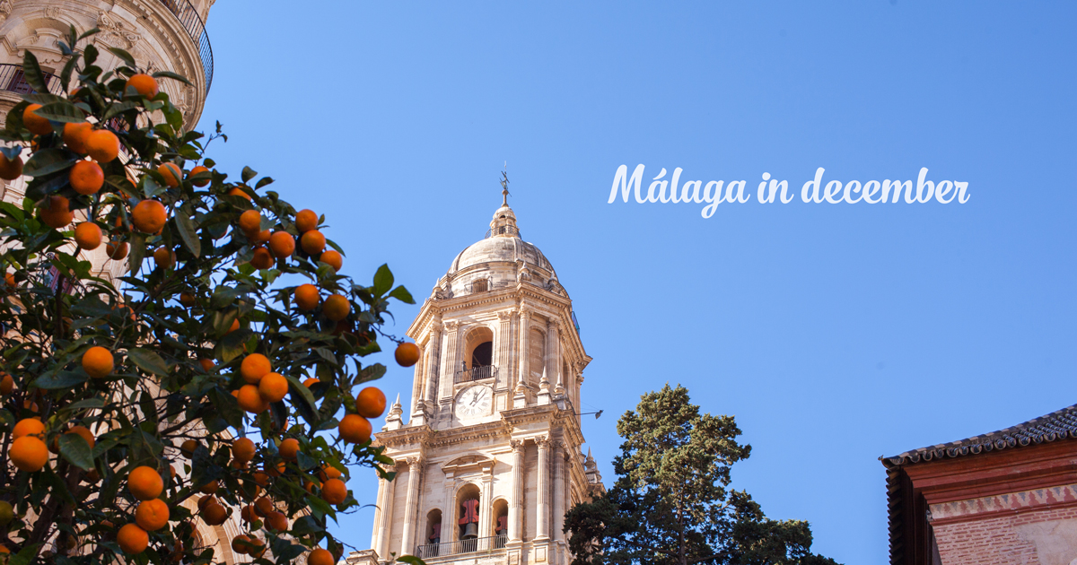 Málaga in december - Beleef de leukste activiteiten in Malaga