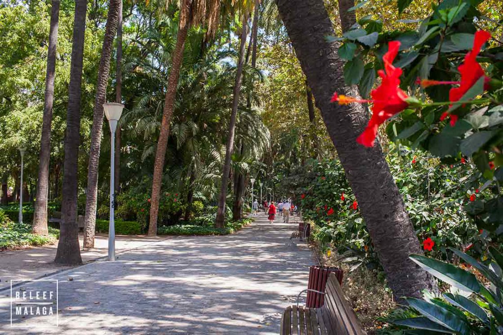 Top 15 Malaga bezienswaardigheden - Dé highlights van Malaga