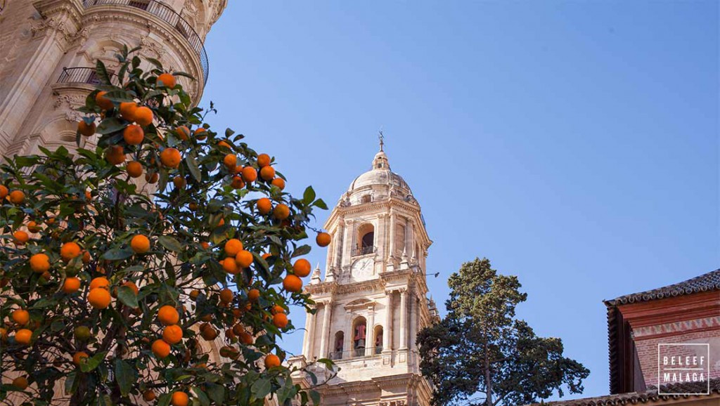 Winter in Málaga en Andalusie - Zonnige citytrip of vakantie!